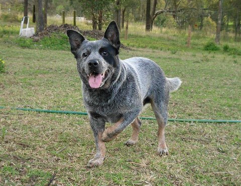 How I made a House for All Seasons a home – Helene Young